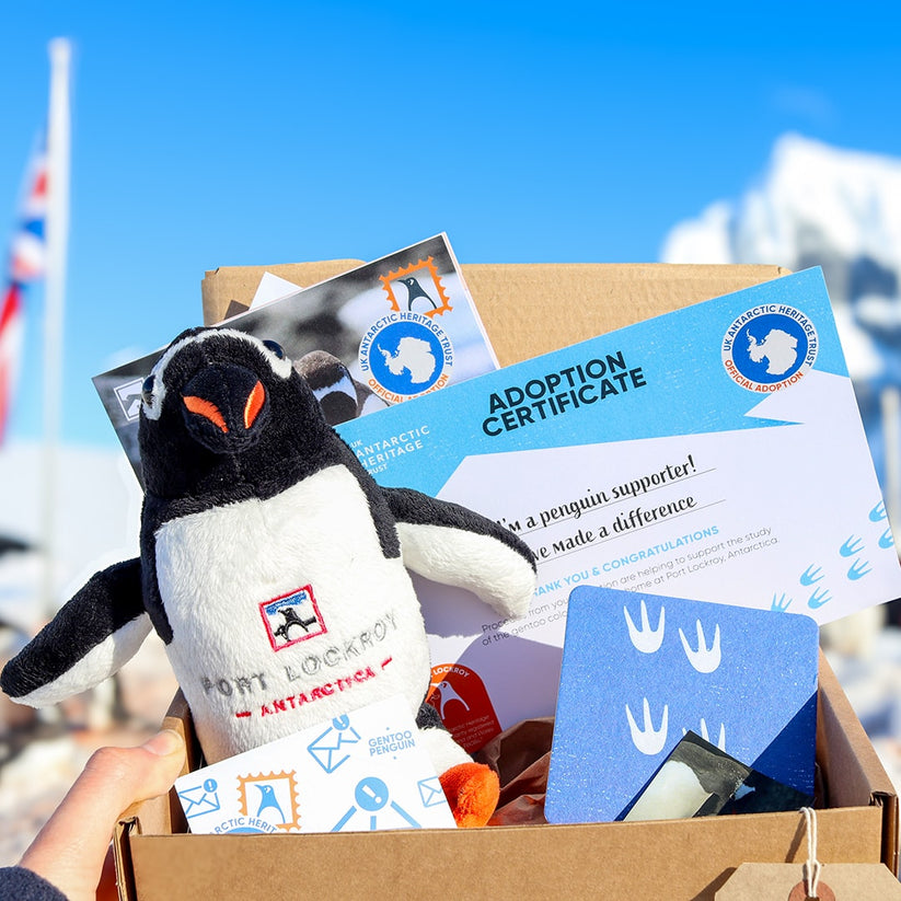 Jonty Gentoo: The Adventures of a Penguin – UK Antarctic Heritage Trust
