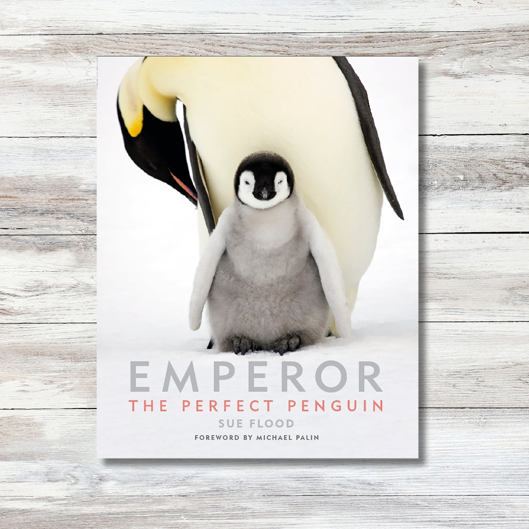 Emperor: The Perfect Penguin – UK Antarctic Heritage Trust